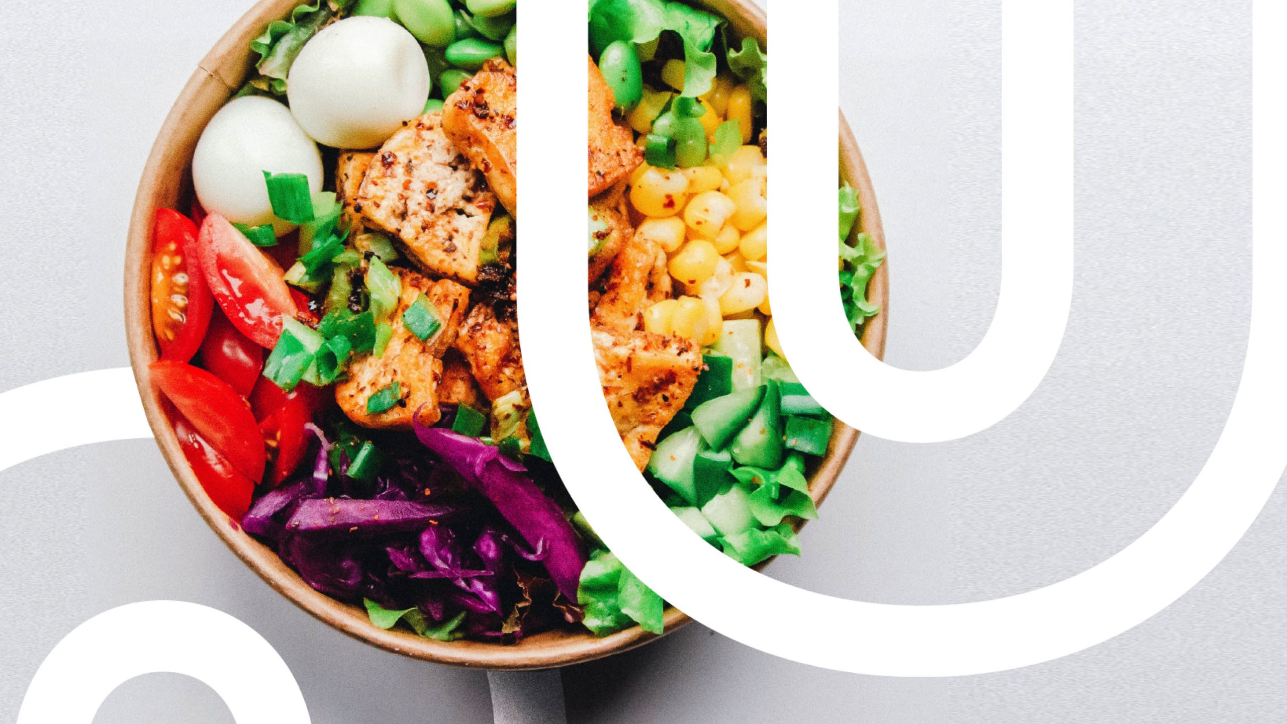 Stratégie SEO et nouvelle plateforme graphique pour UEAT - Turbulences